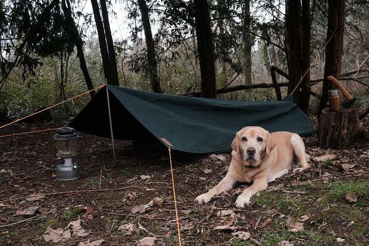 Swags & Tents | Inspiring Life Outdoors – Burke and Wills UK